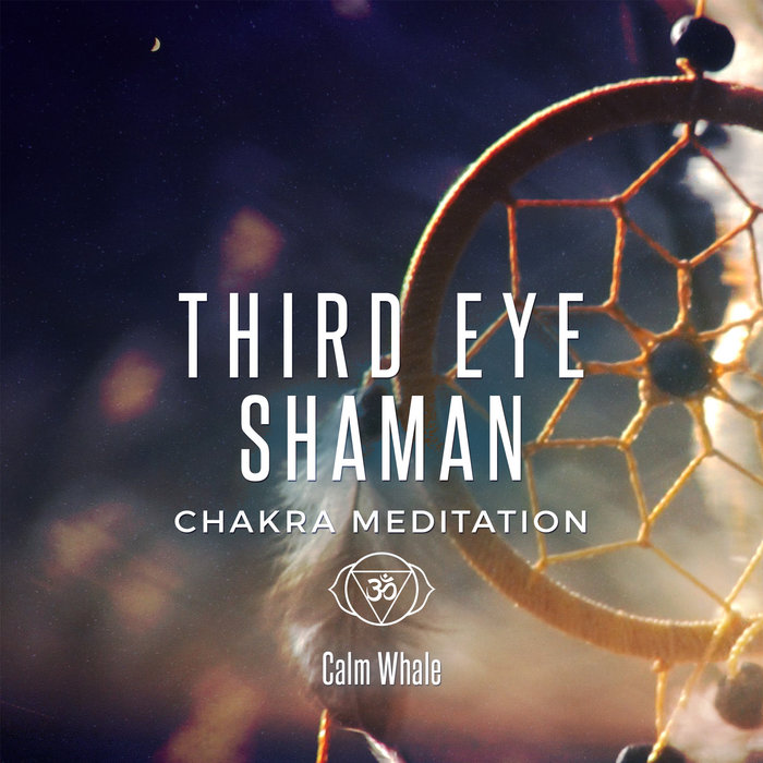 Third Eye Shaman - Chakra Meditation | Calm Whale