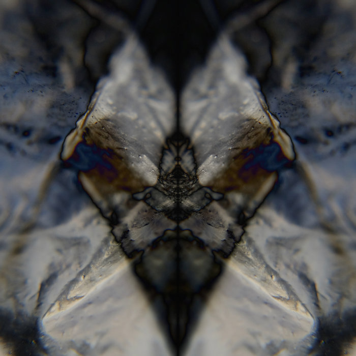 Quantum gravity | Various | Auom Records