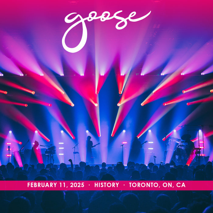 2025/02/11 History, Toronto, ON, CA | Goose