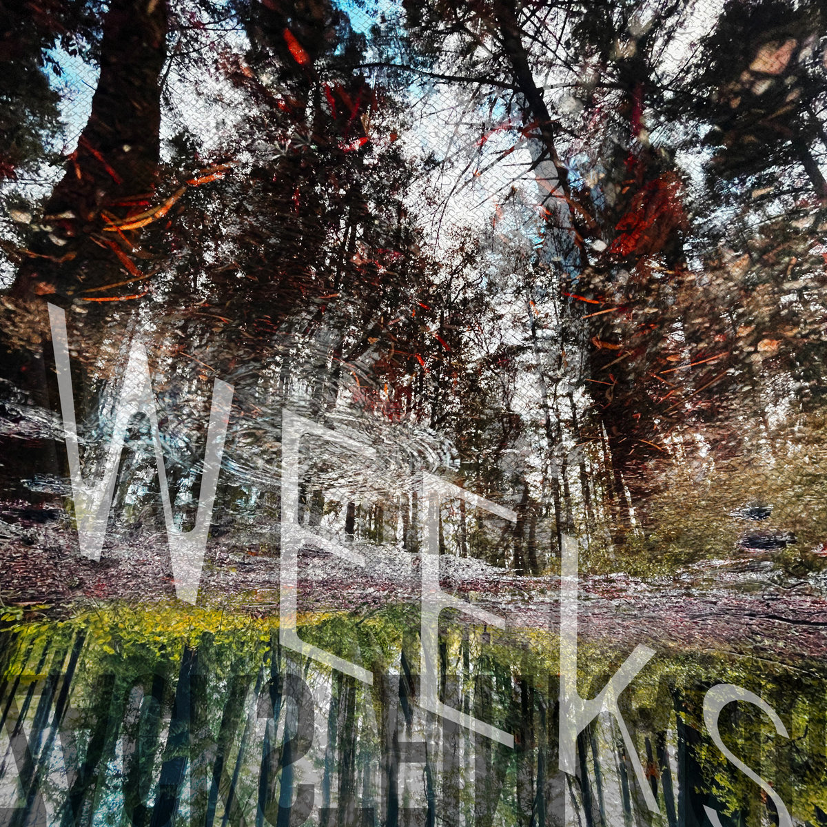 WEEks | Zack Steinkamp