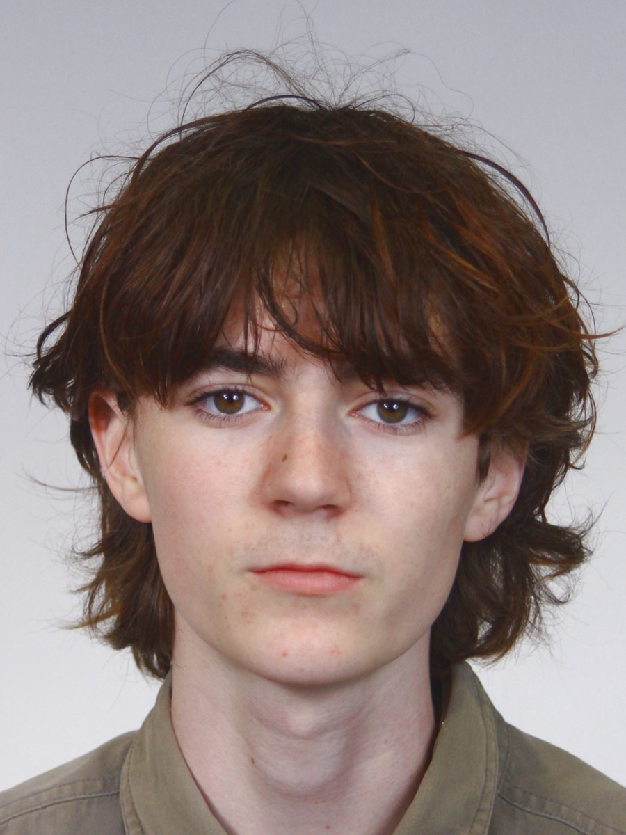 electric boogaloo townsman surplus | Flea Miller