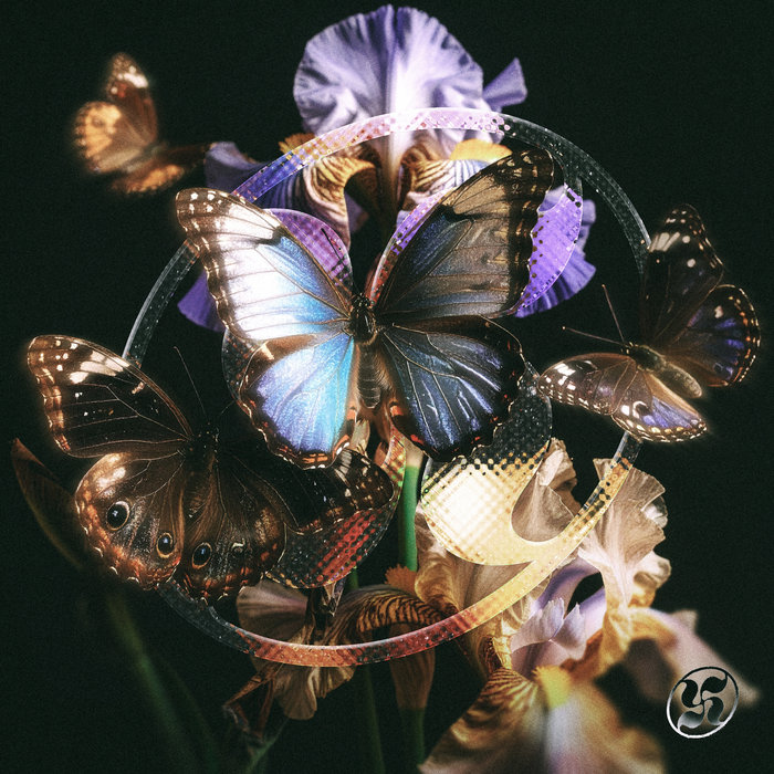 TRANSFIGURE VA001 | TRANSFIGURE