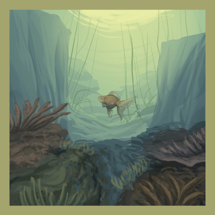 the calico kid | Drew Friel