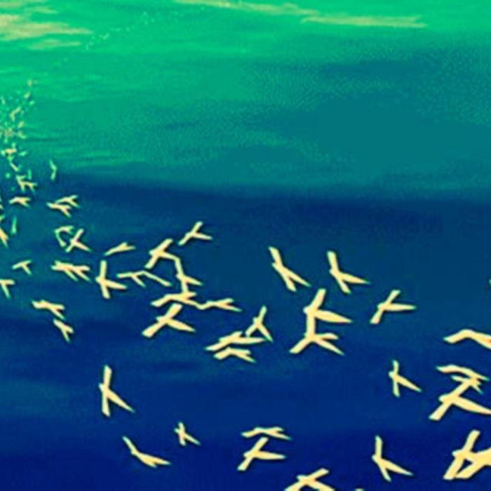 picking me up | ryan