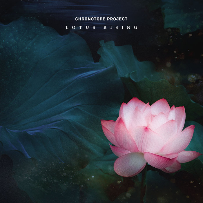 Lotus Rising | Chronotope Project