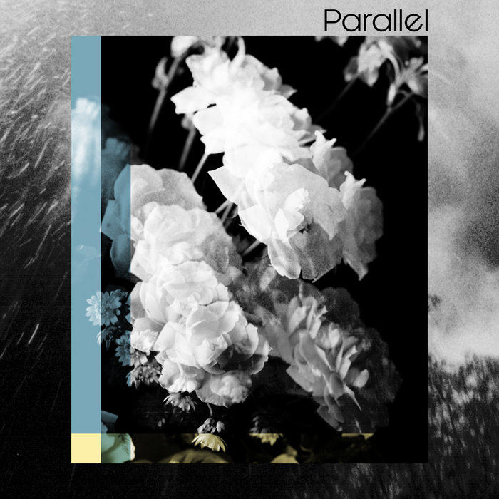 Parallel | Parallel