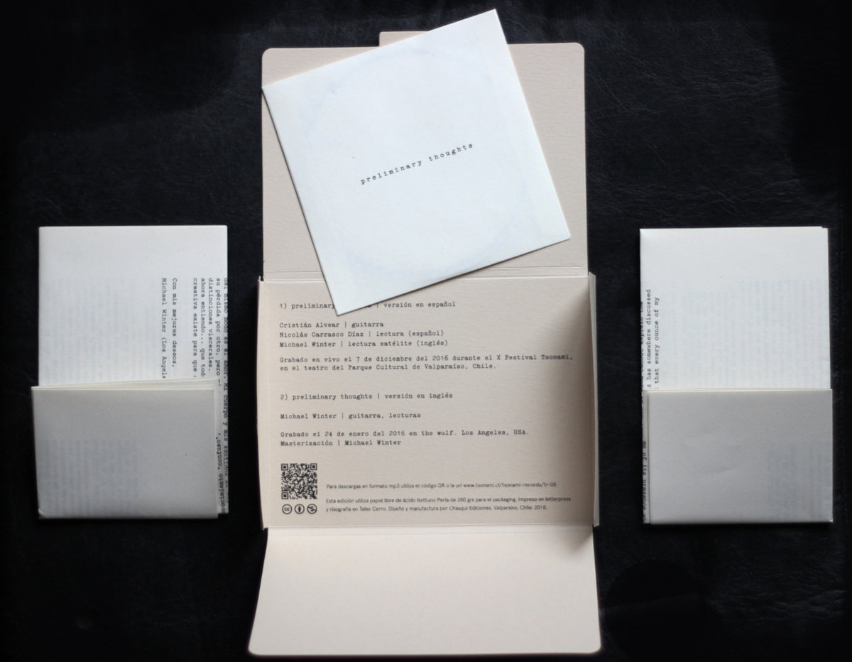 preliminary thoughts | Michael Winter