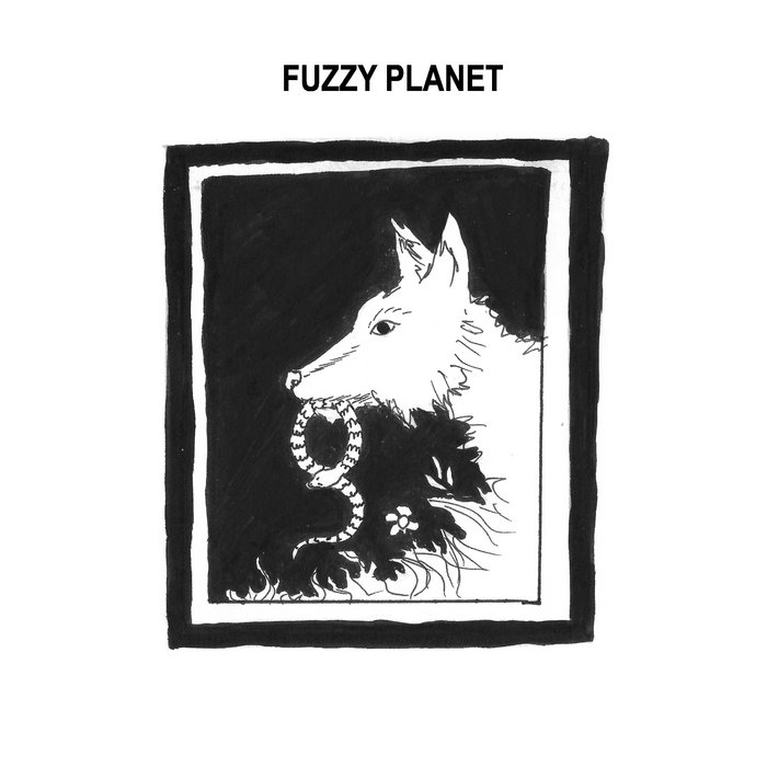 Fuzzy Planet | Fuzzy Planet