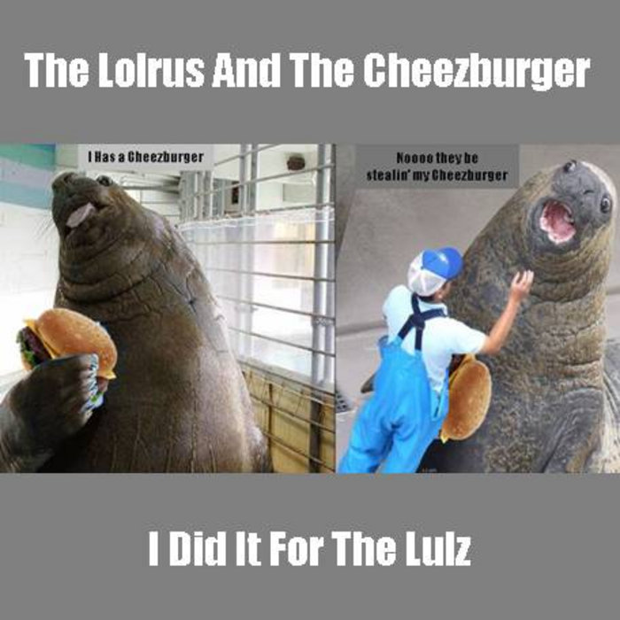 I Did It For The Lulz | The Lolrus And The Cheezburger | Rudy Sims
