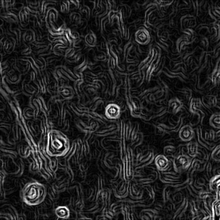 from Seen Through/Davenport split CDR | Seen Through | Ben Spiers