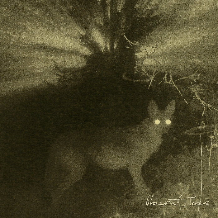 Blackout Tape | 20ft Records