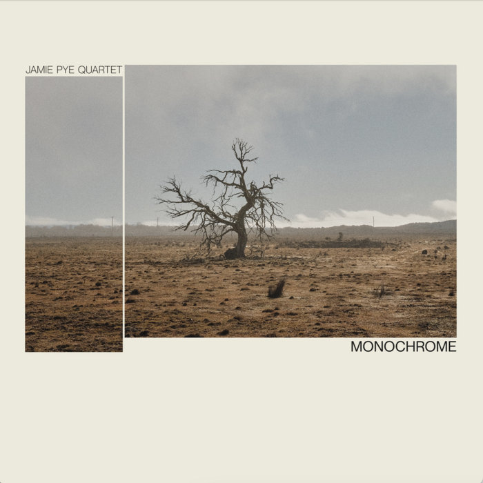 Monochrome | Jamie Pye