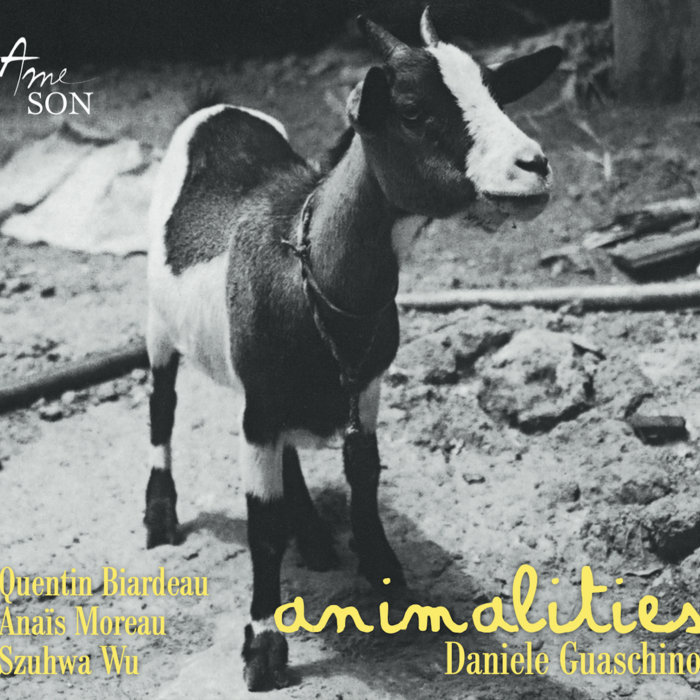 Animalities - album | Daniele Guaschino