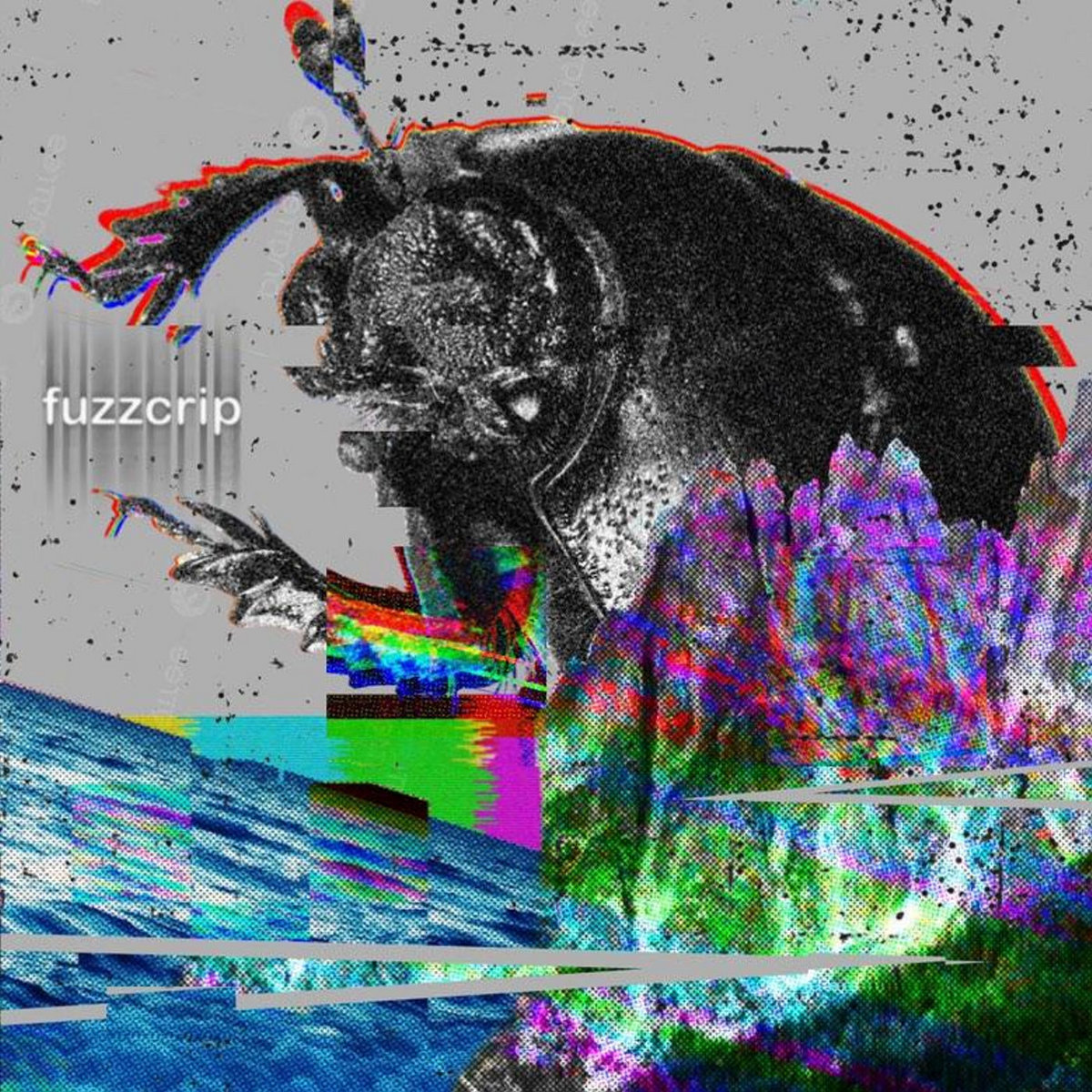 Fuzzcrip | Candler Redden
