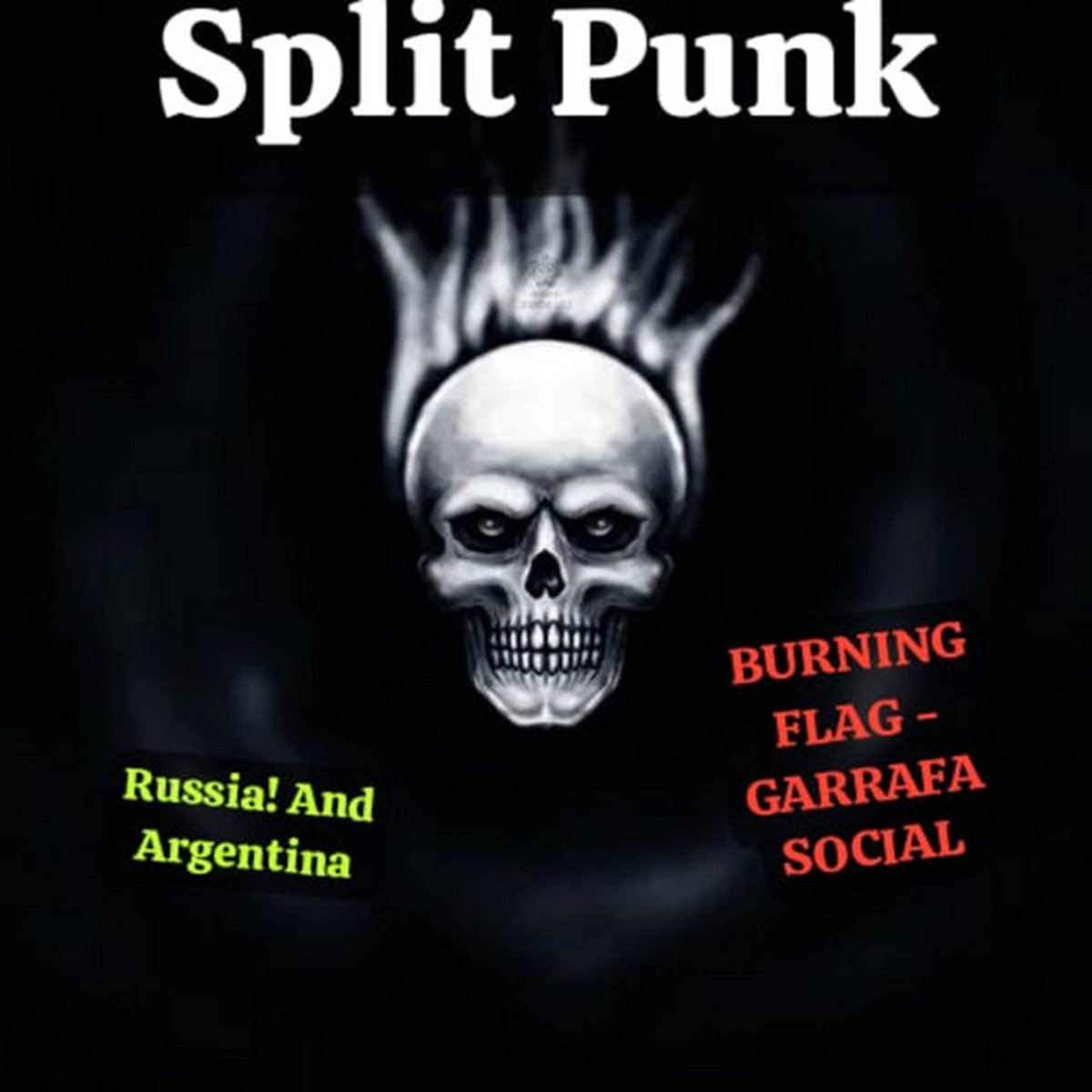 Split Punk! | Burning Flag