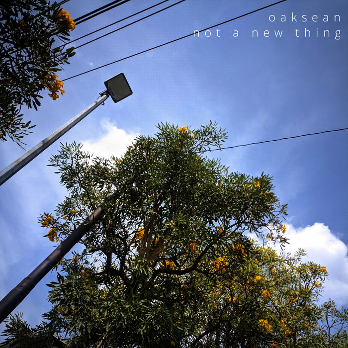 Not a New Thing | Oaksean