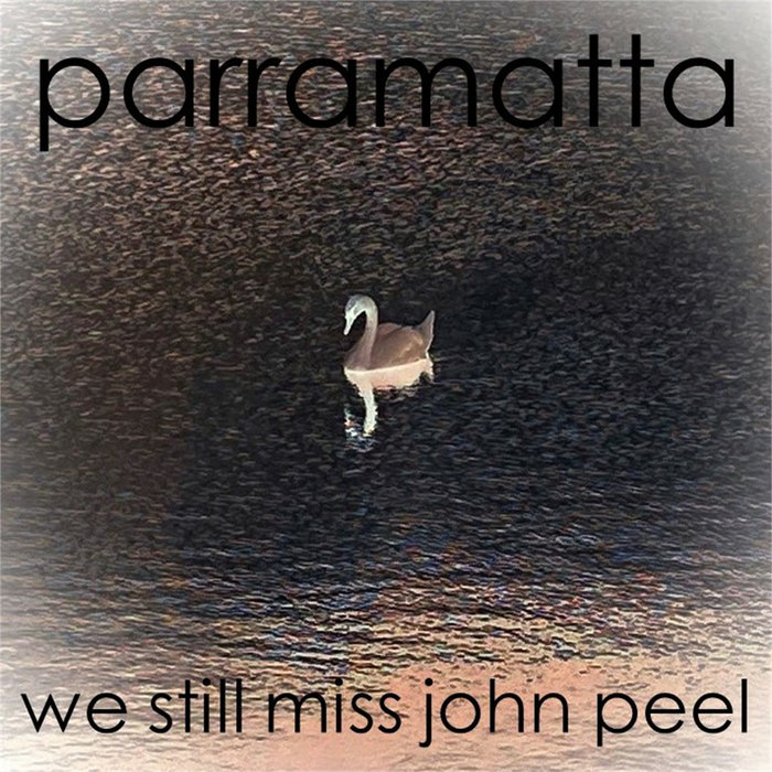 we still miss JOHN PEEL (an introduction to the delusional world of ...