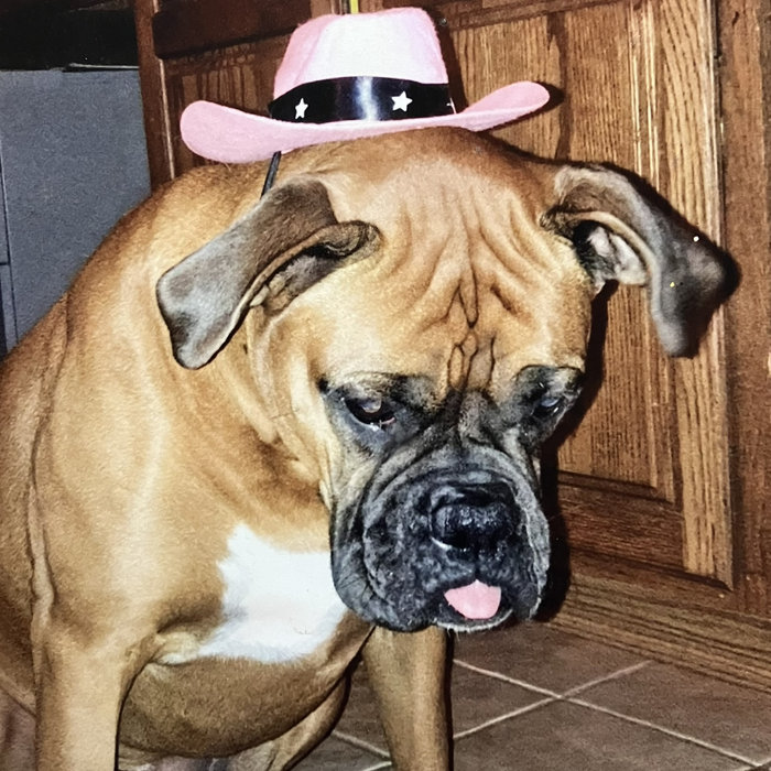 Bad Traveling | Wayside