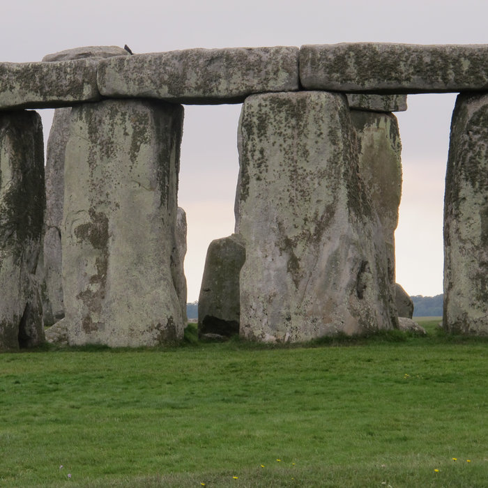 Metal Up Uranus | Execrated Flesh