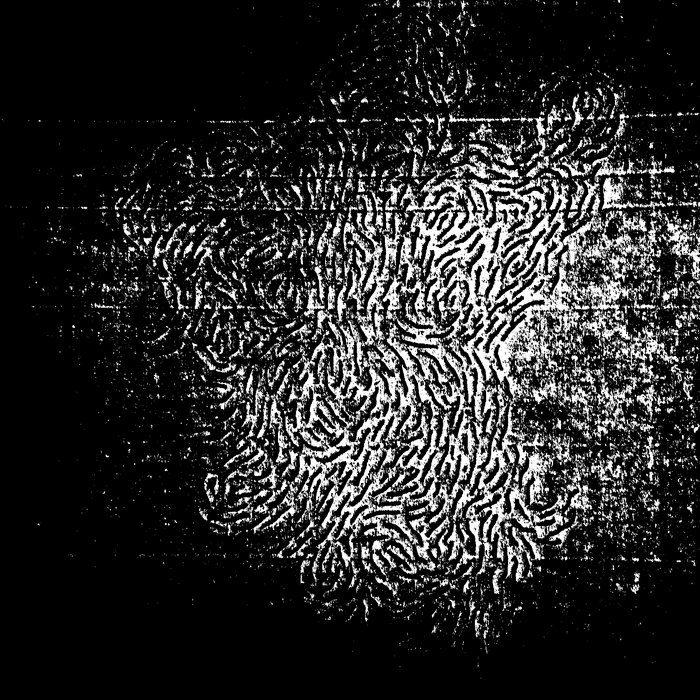 Miscellaneous Tracks | Holographic Beast