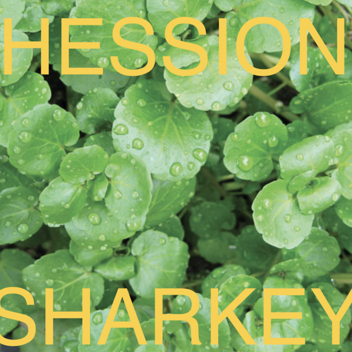 watercress | chris sharkey & paul hession | chris sharkey
