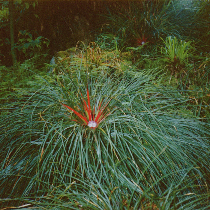 Year Zero Single | Laurie Shaw