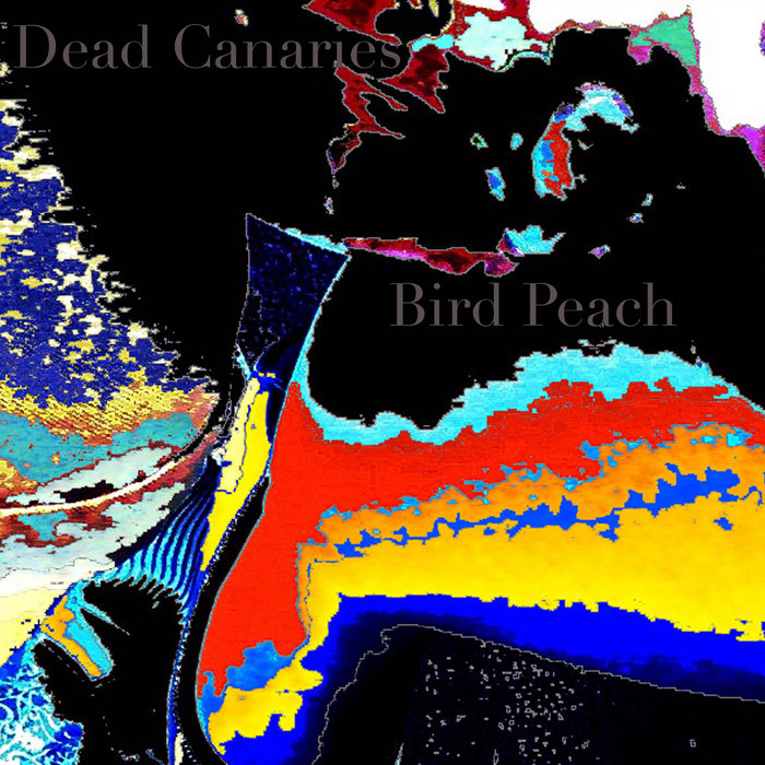 Bird Peach | Dead Canaries