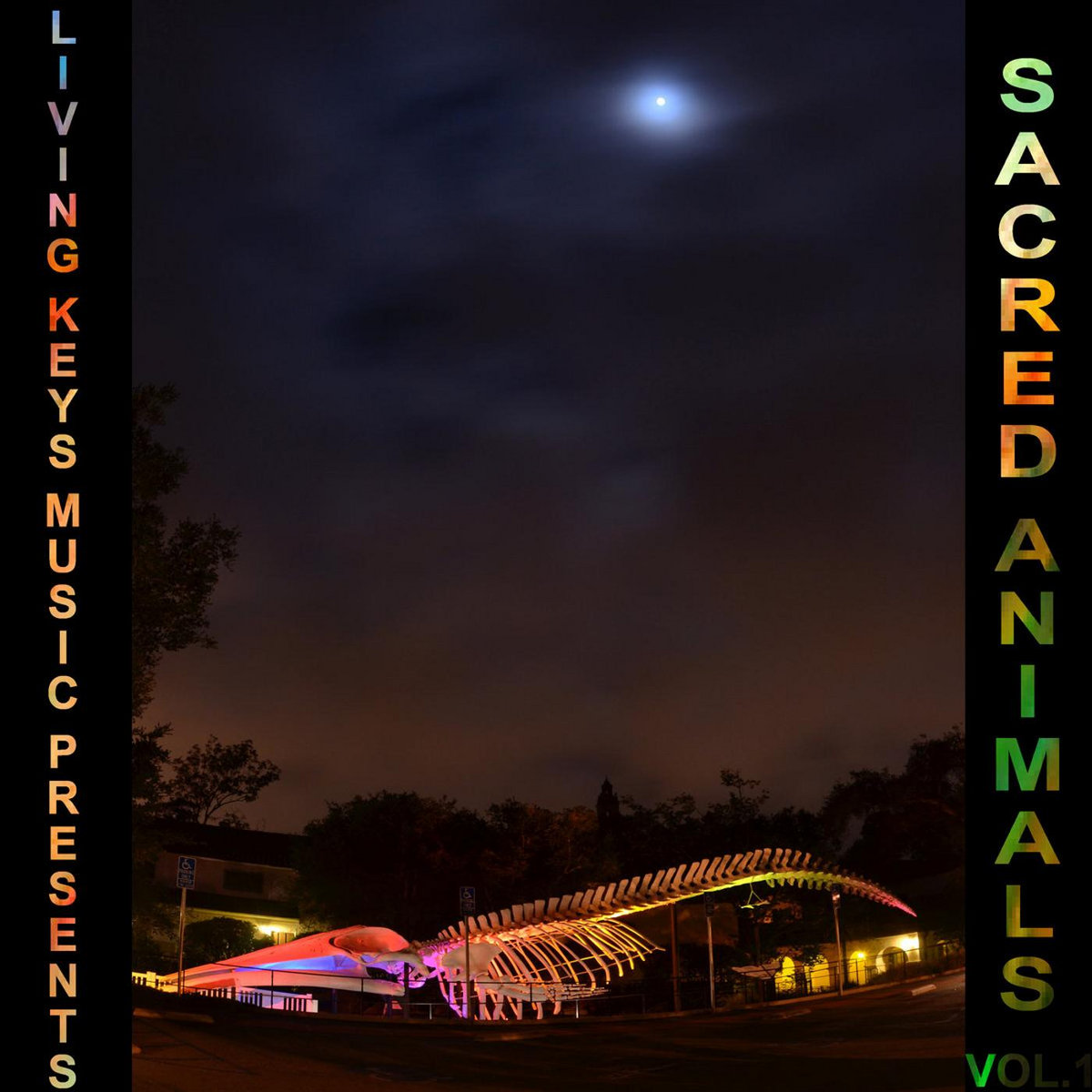 SACRED ANIMALS VOL.1 | Deborah Mitchell Groove