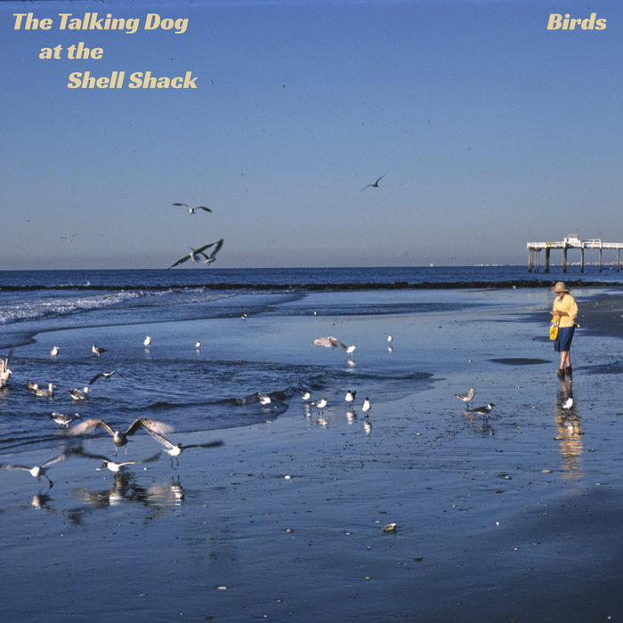 Birds | The Talking Dog At The Shell Shack
