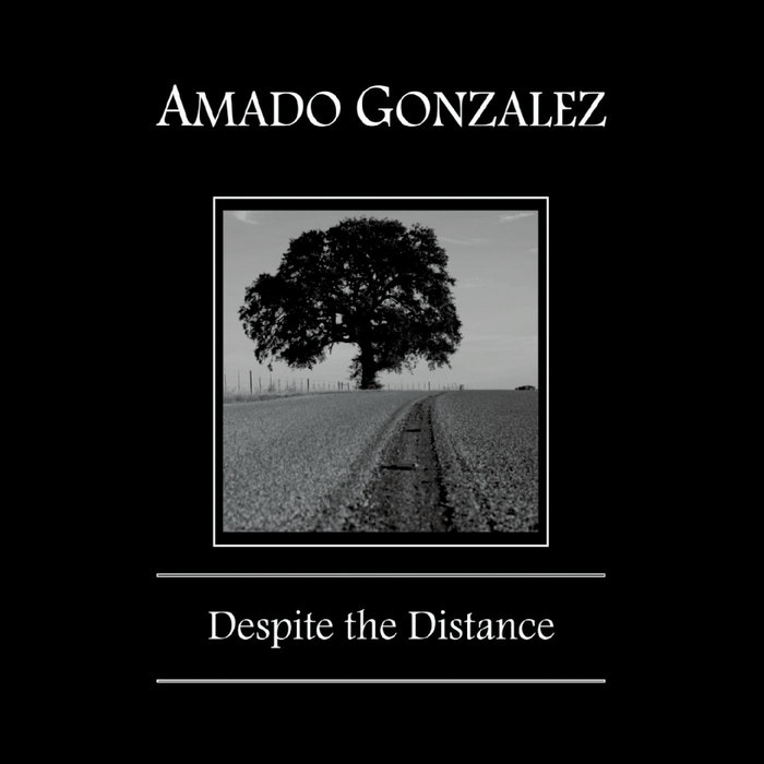 Despite the Distance | Amado Gonzalez