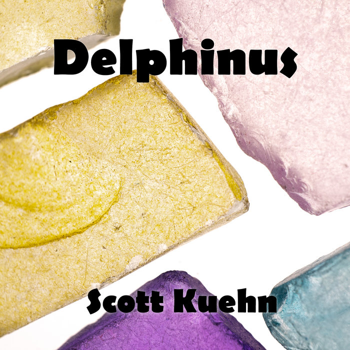 Delphinus | Scott Kuehn