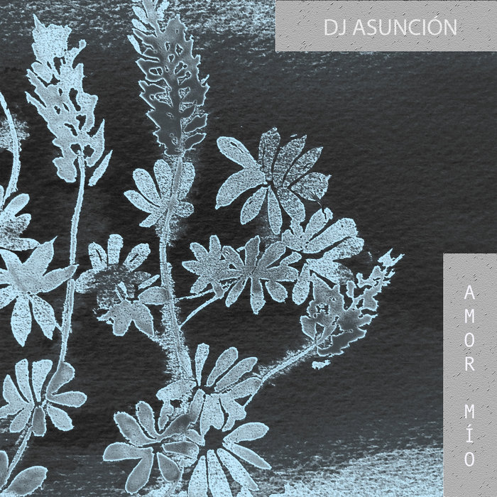 Amor Mío | Dj Asunción | Overlap