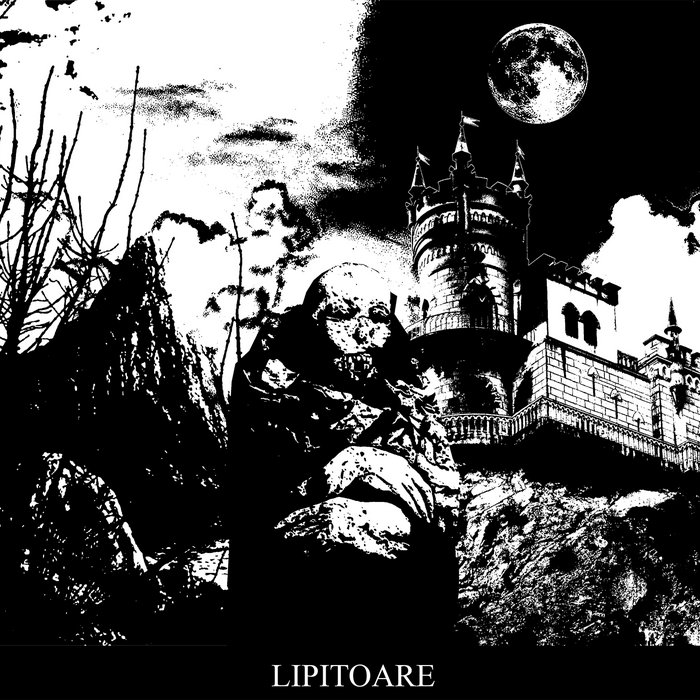 Lipitoare | Lipitoare