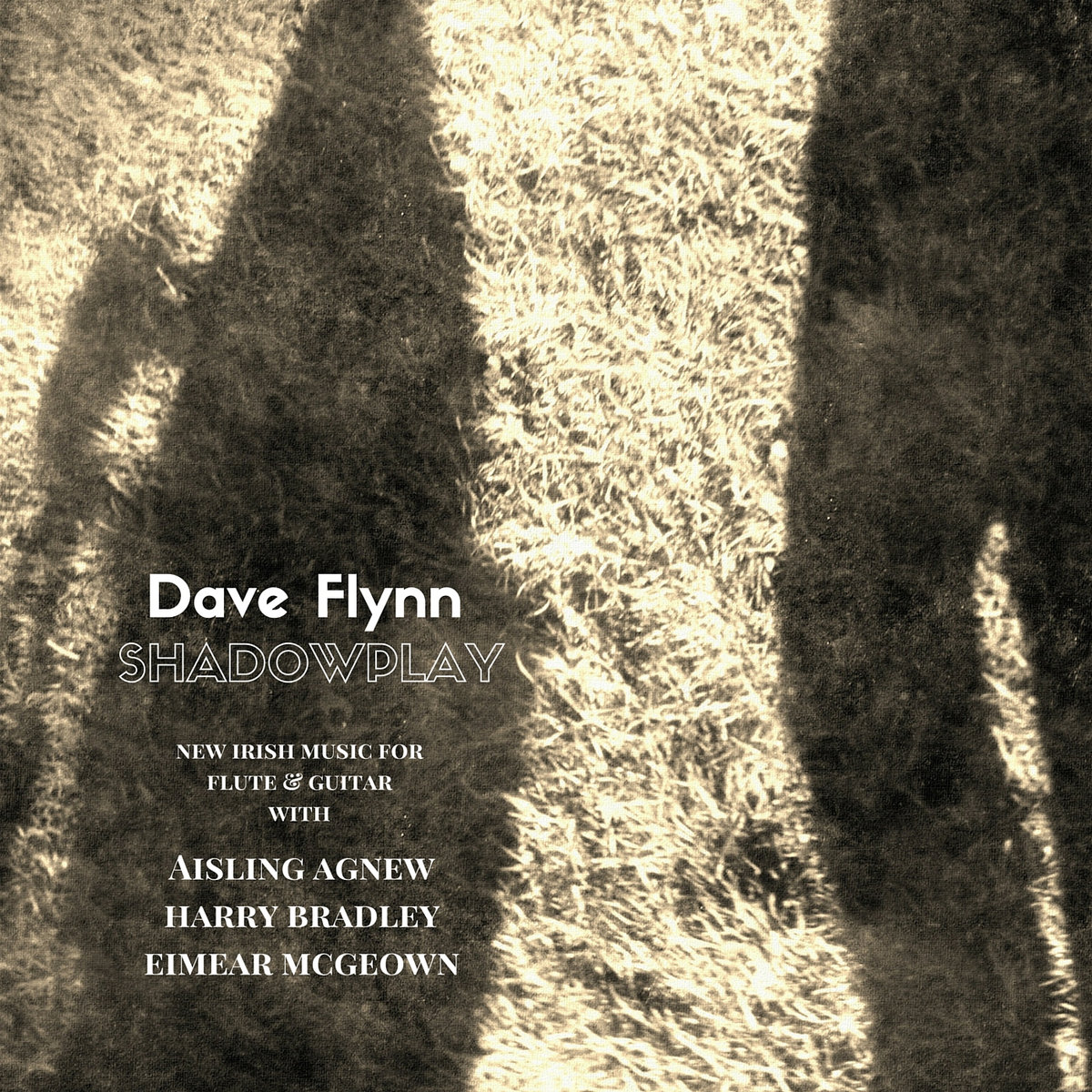 Shadowplay - New Irish Music for Flute & Guitar | Dave Flynn with ...