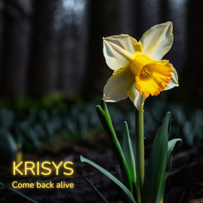 Come back alive | Krisys