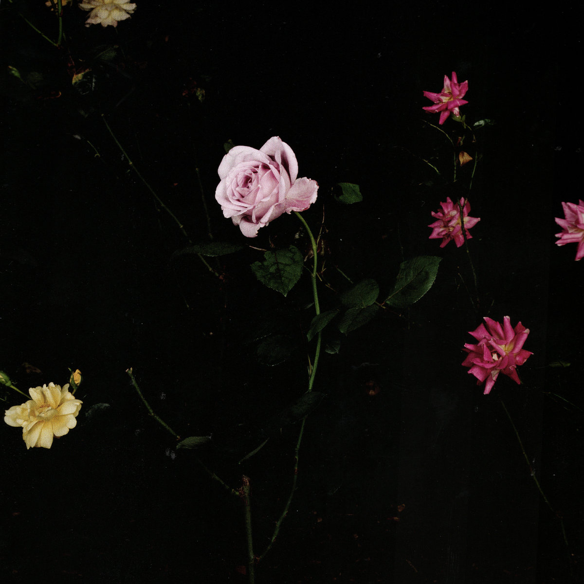 Cellophane (FKA Twigs) | Sunken
