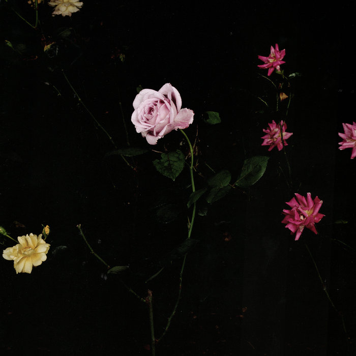 Cellophane (FKA Twigs) | Sunken