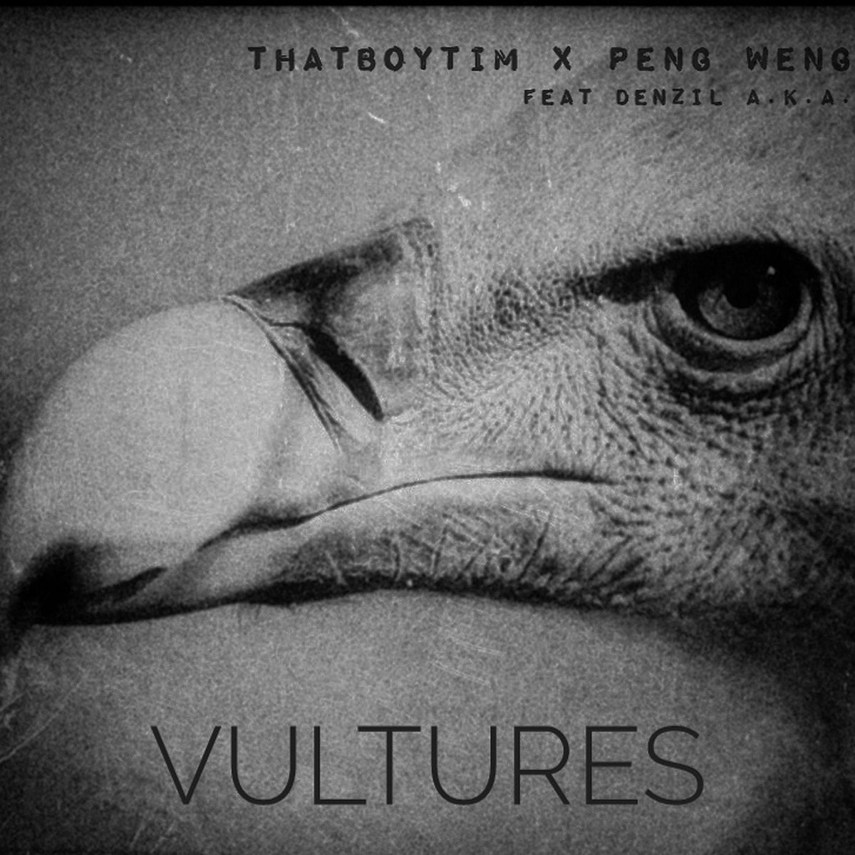 Vultures | thatboytim X Peng Weng feat Denzil AKA | Local Music for ...