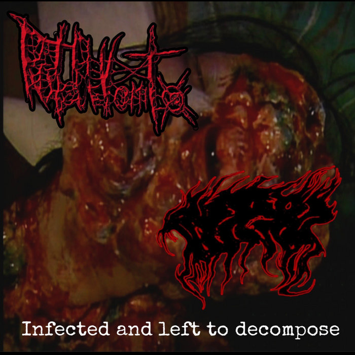 Infected and left to decompose [Split with listeriagn] | Resto de vomito