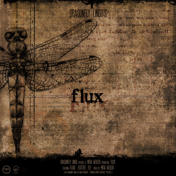 Flux | Dragonfly Lingo