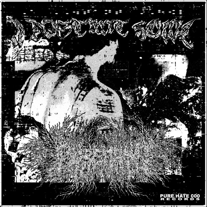 PURE HATE 000 - A DISTANT HOWL | PURE HATE