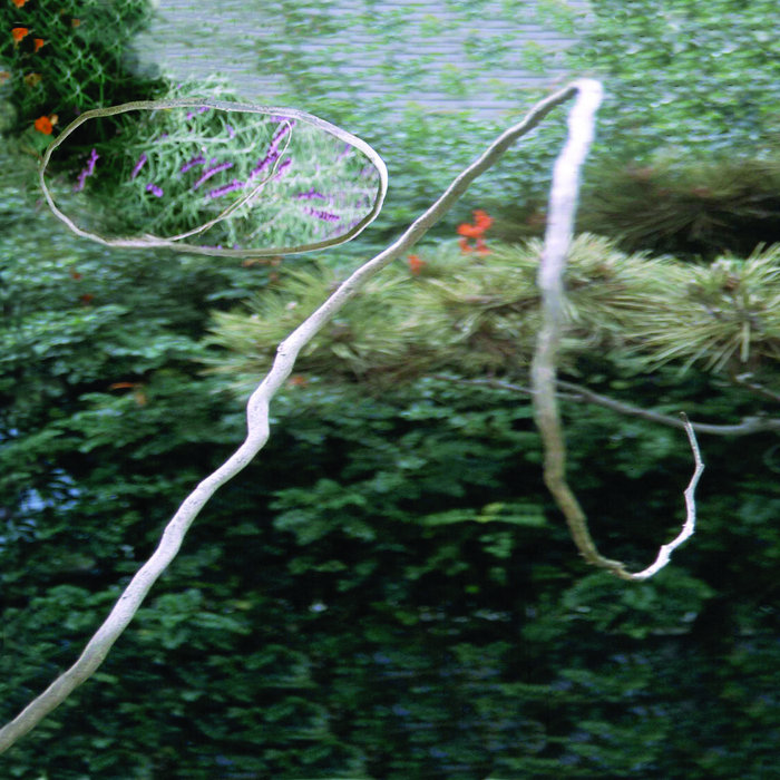 Orenda | Kraig Grady | Anaphoria