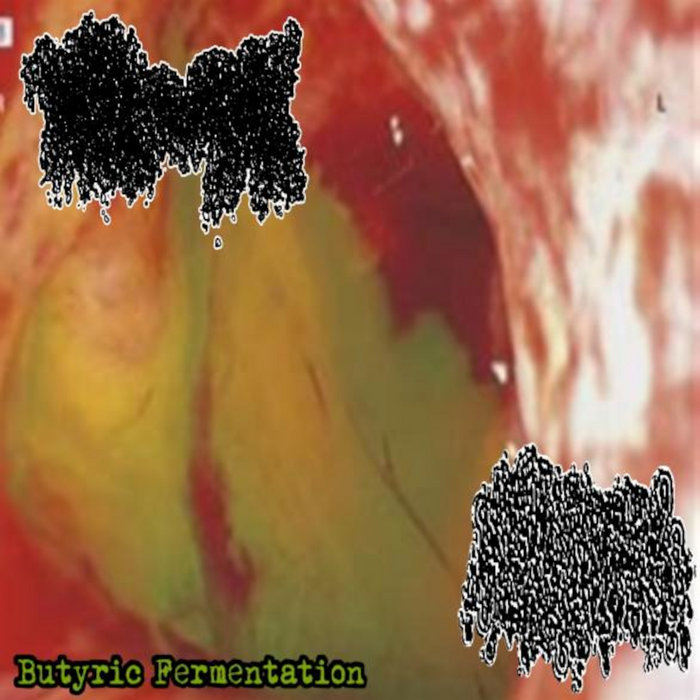 Butyric Fermentation SPLIT | LxPxAxNxTxVxRxDxTxFxE / Sputum ...
