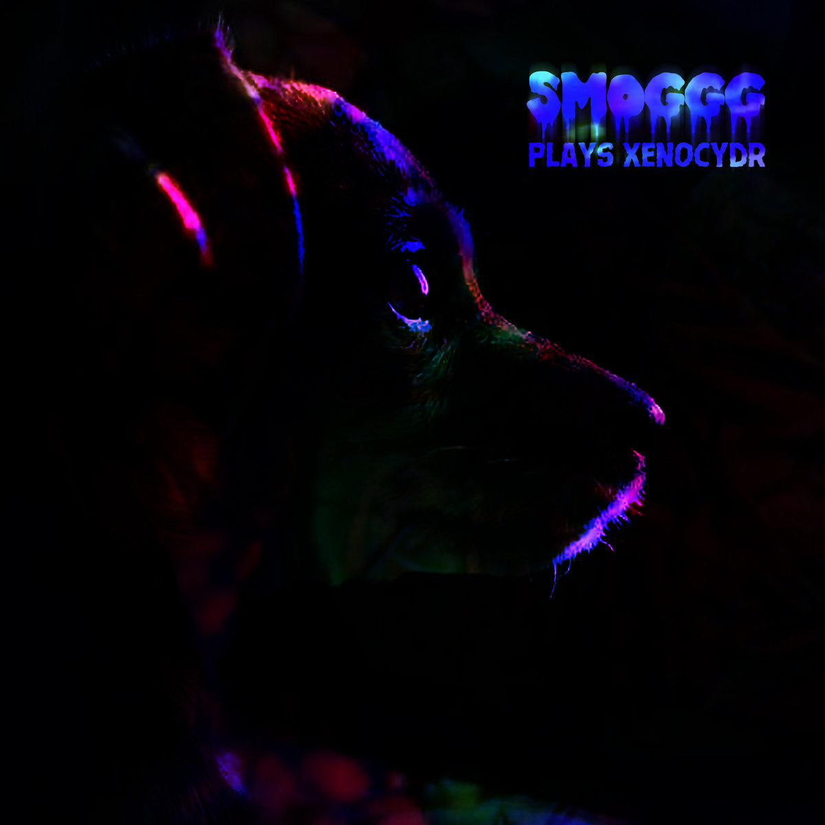 SmoGGG plays XenocydR | SmoGGG