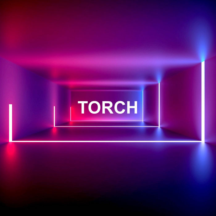 Torch (Dim Zach Remix) | Dim Zach
