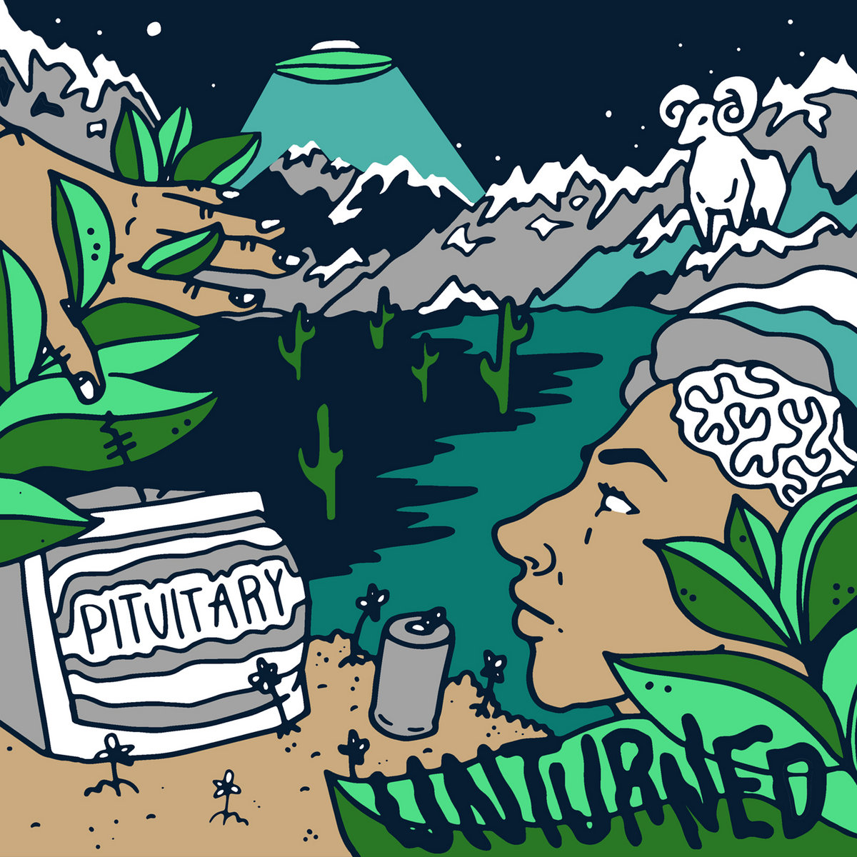 Pituitary | Unturned