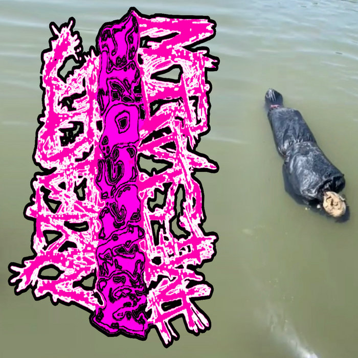 Myiasis Maggots Infestation - The Fascinating Process Of Maggots ...