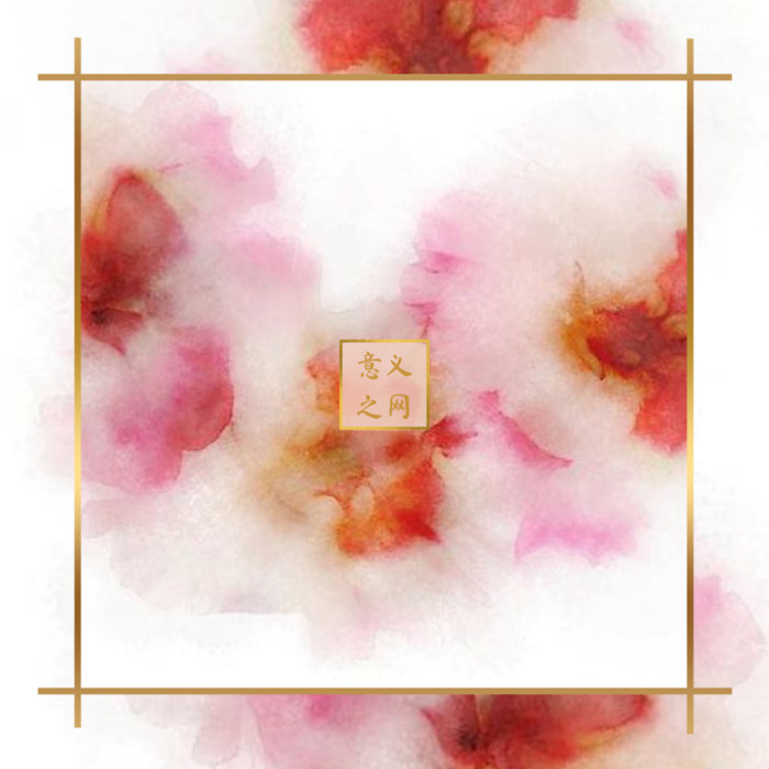 Web Of Meaning (意义之网) | Fifi Rong, Davyd | Fifi Rong