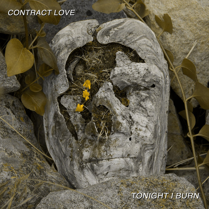Tonight I Burn | Contract Love
