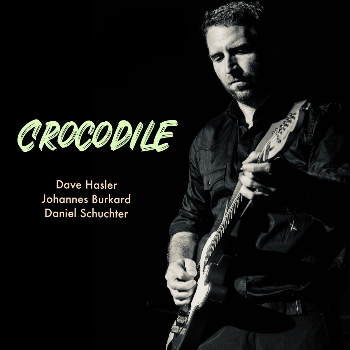 Crocodile | Dave Hasler
